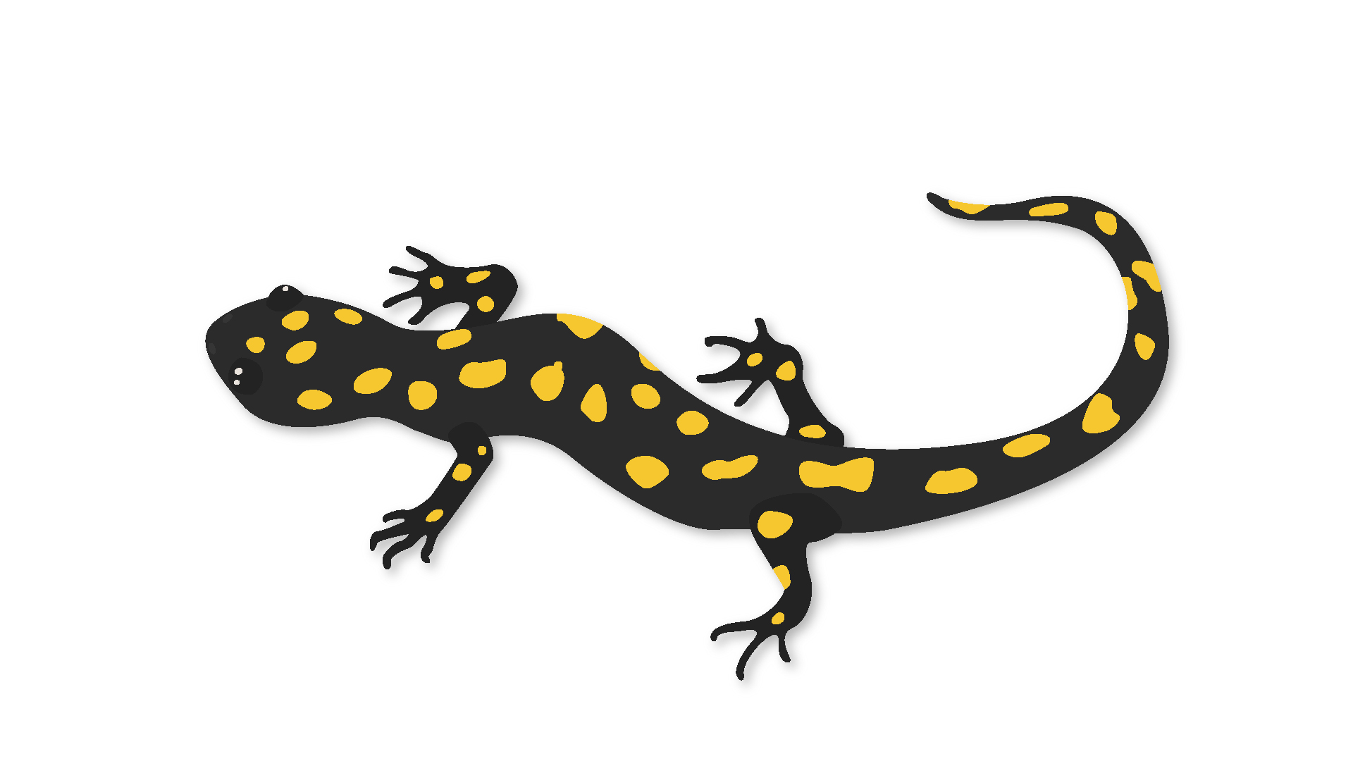 Header-Reptile-buddy – Reptile Buddy