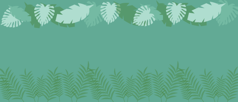 header-jungle-website – Reptile Buddy